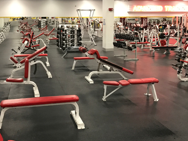 Free Weights - Super Fitness